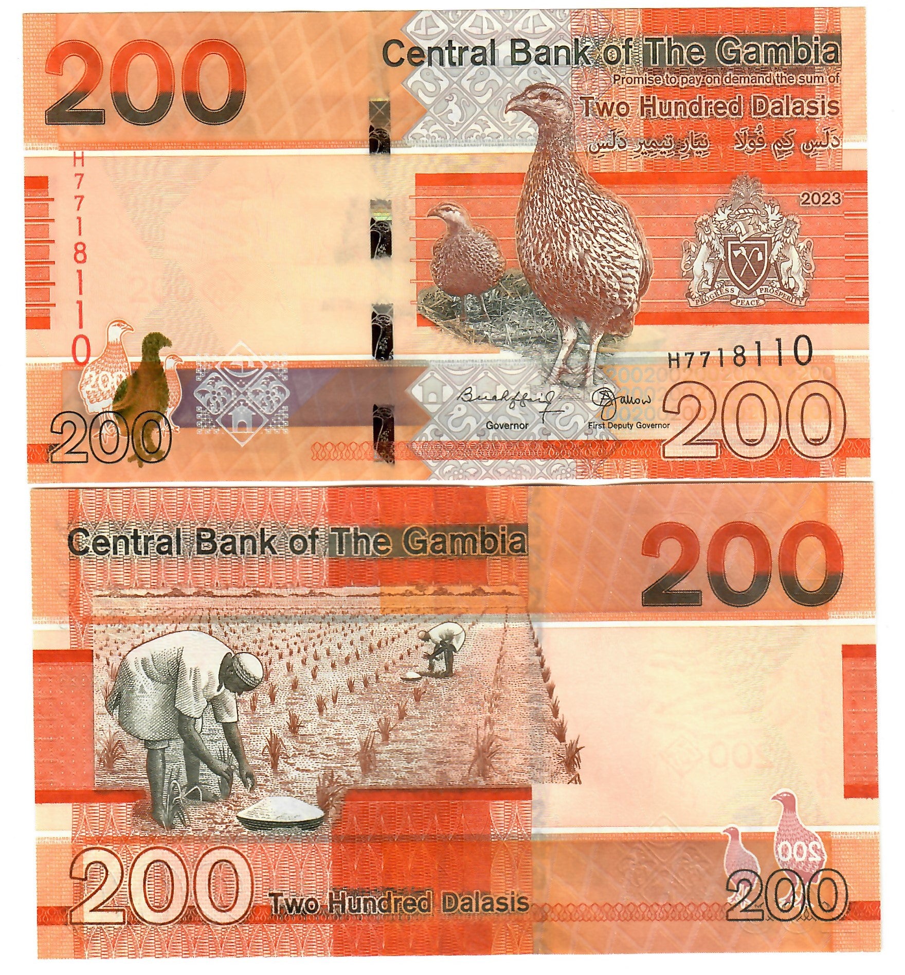 The Gambia 200 Dalasis 2023 UNC – Davenport-Banknotes-and-Coins