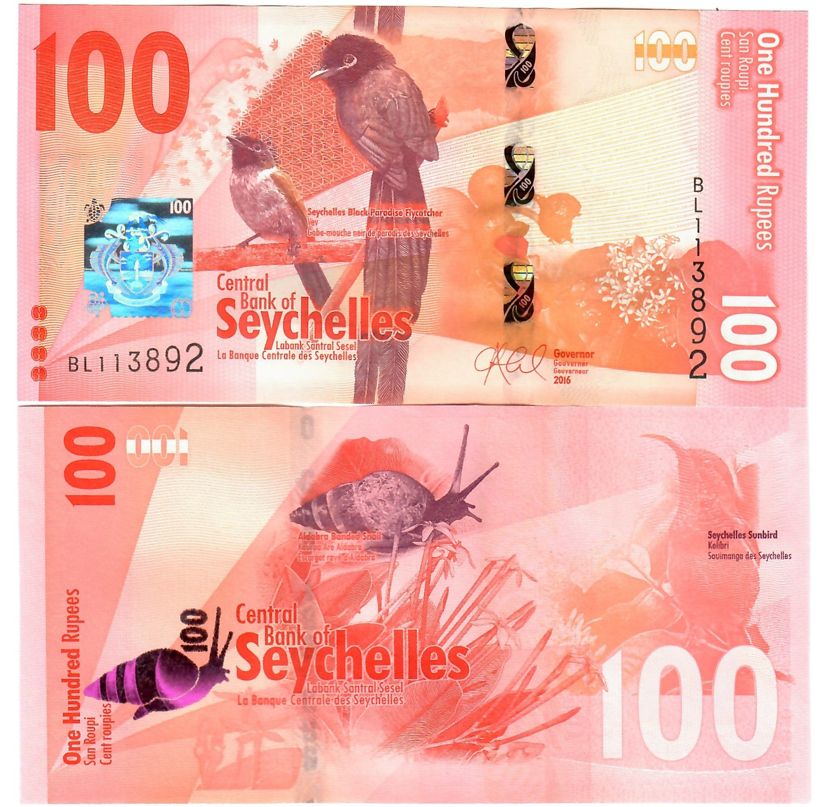 Seychelles 100 Rupees 2016 UNC "Abel" – Davenport-Banknotes-and-Coins
