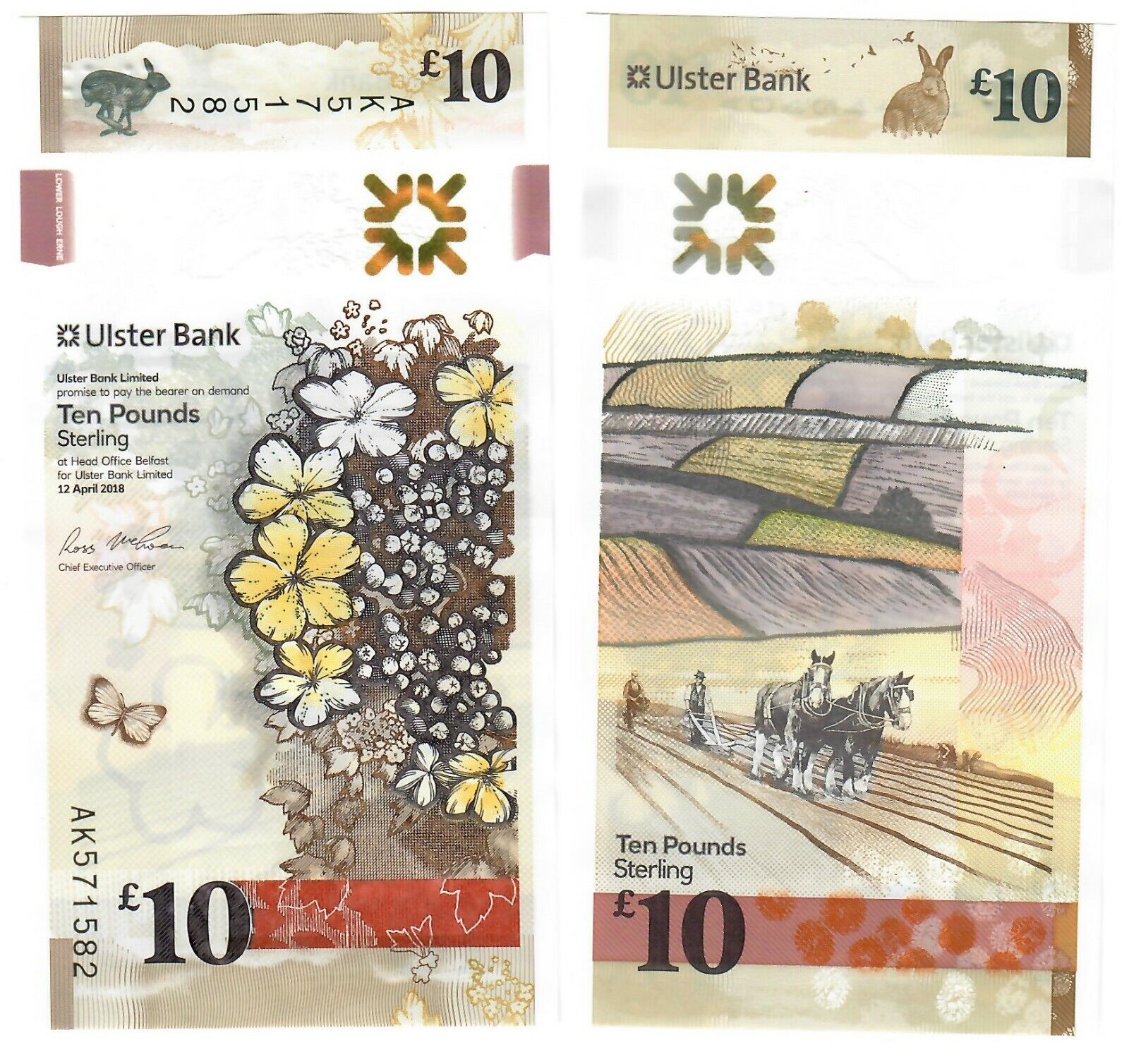 Northern Ireland 10 Pounds 2018 EF Ulster Bank – Davenport-Banknotes ...